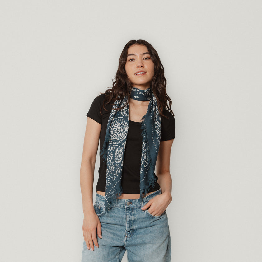 Big Honcho Bandana - Paisley in Navy – lastchancetextiles
